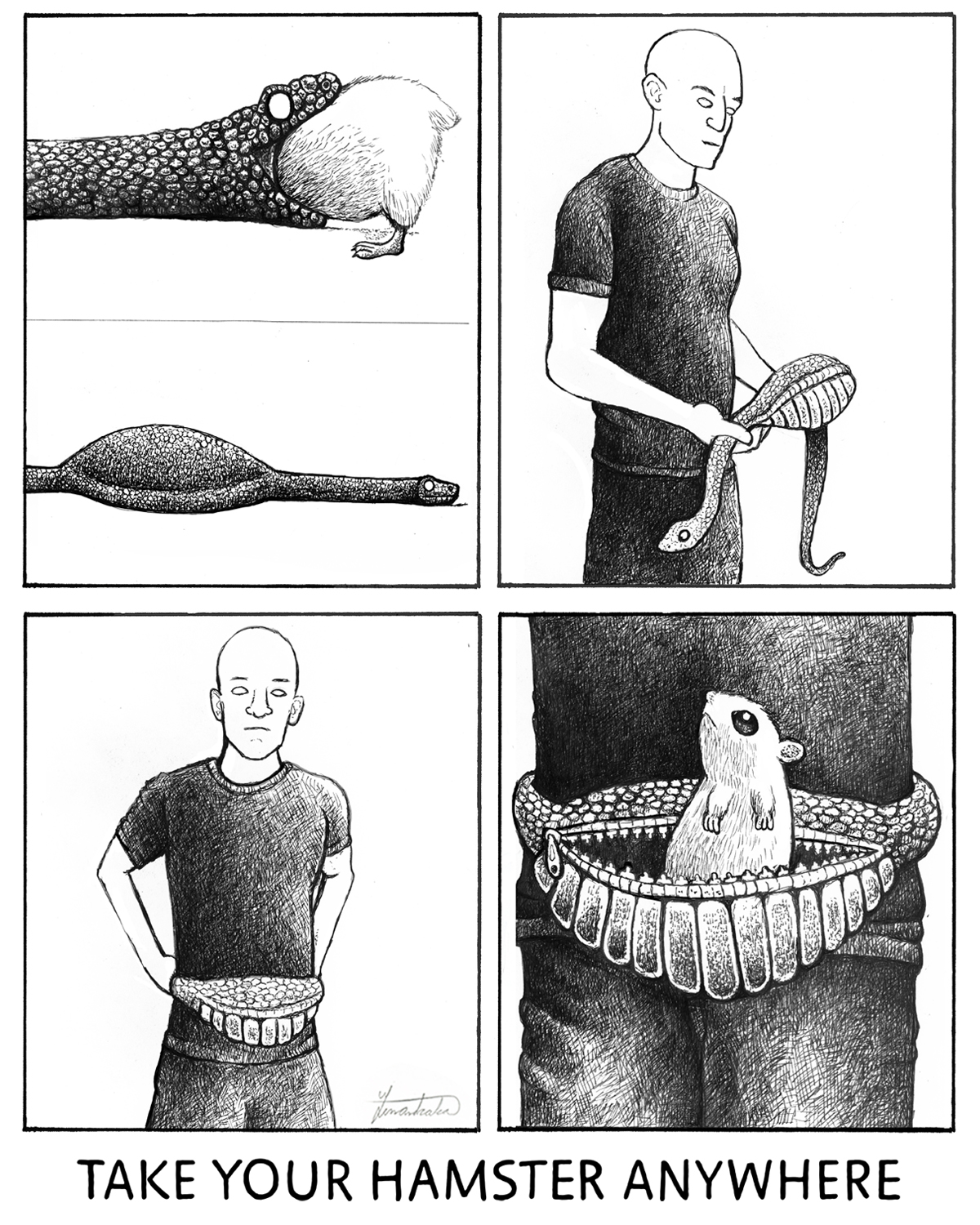 Goose Mouth Comics by Tim Andraka