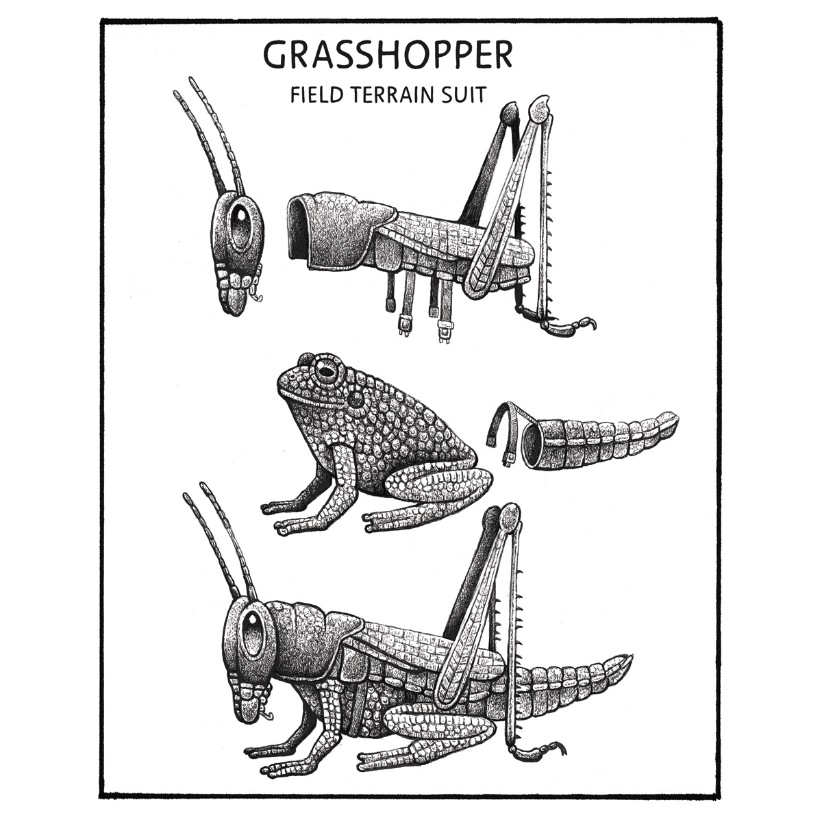 Gallery - Tim Andraka