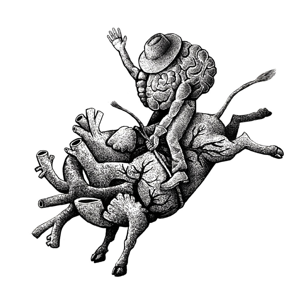 Gallery - Tim Andraka