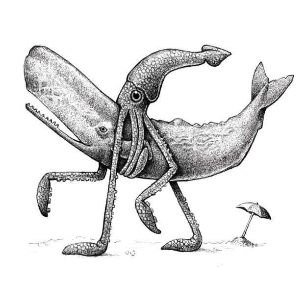 Gallery - Tim Andraka