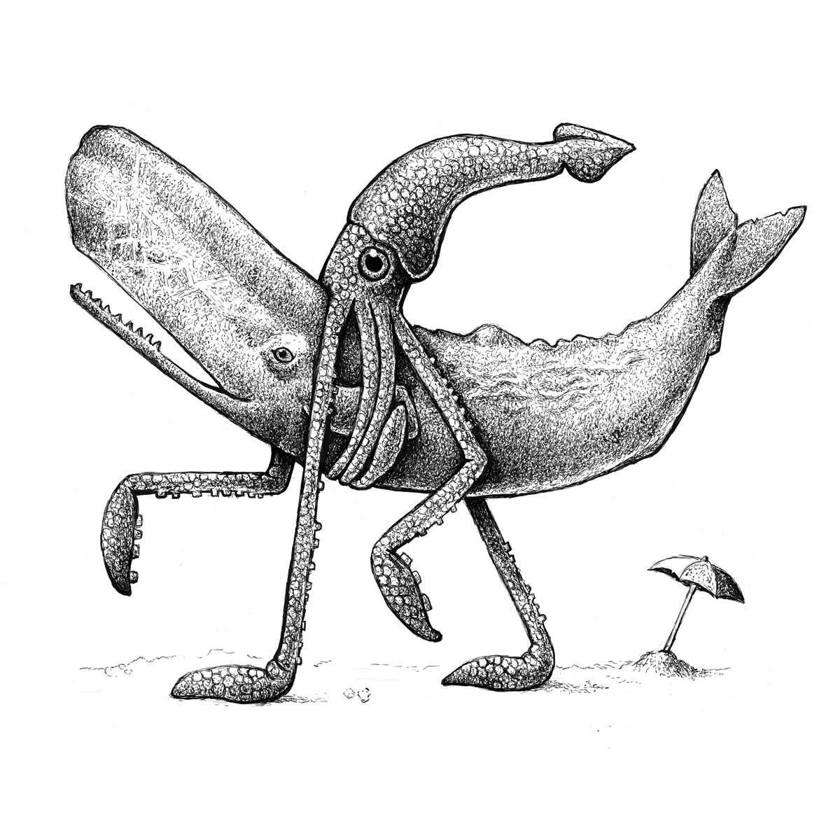 Gallery - Tim Andraka