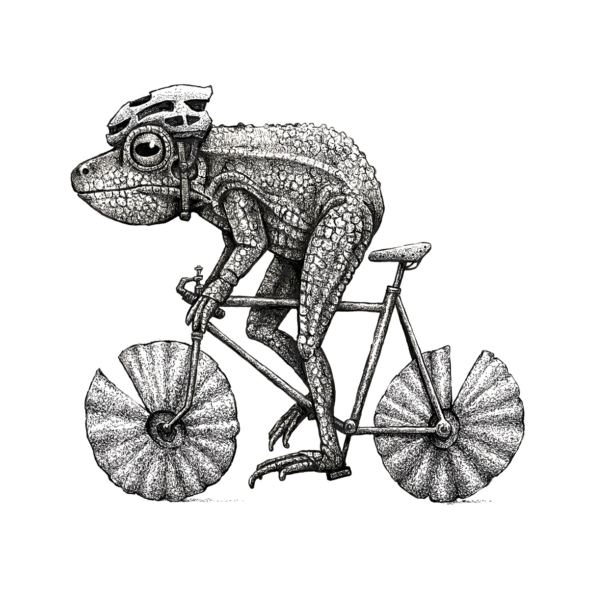 Gallery - Tim Andraka