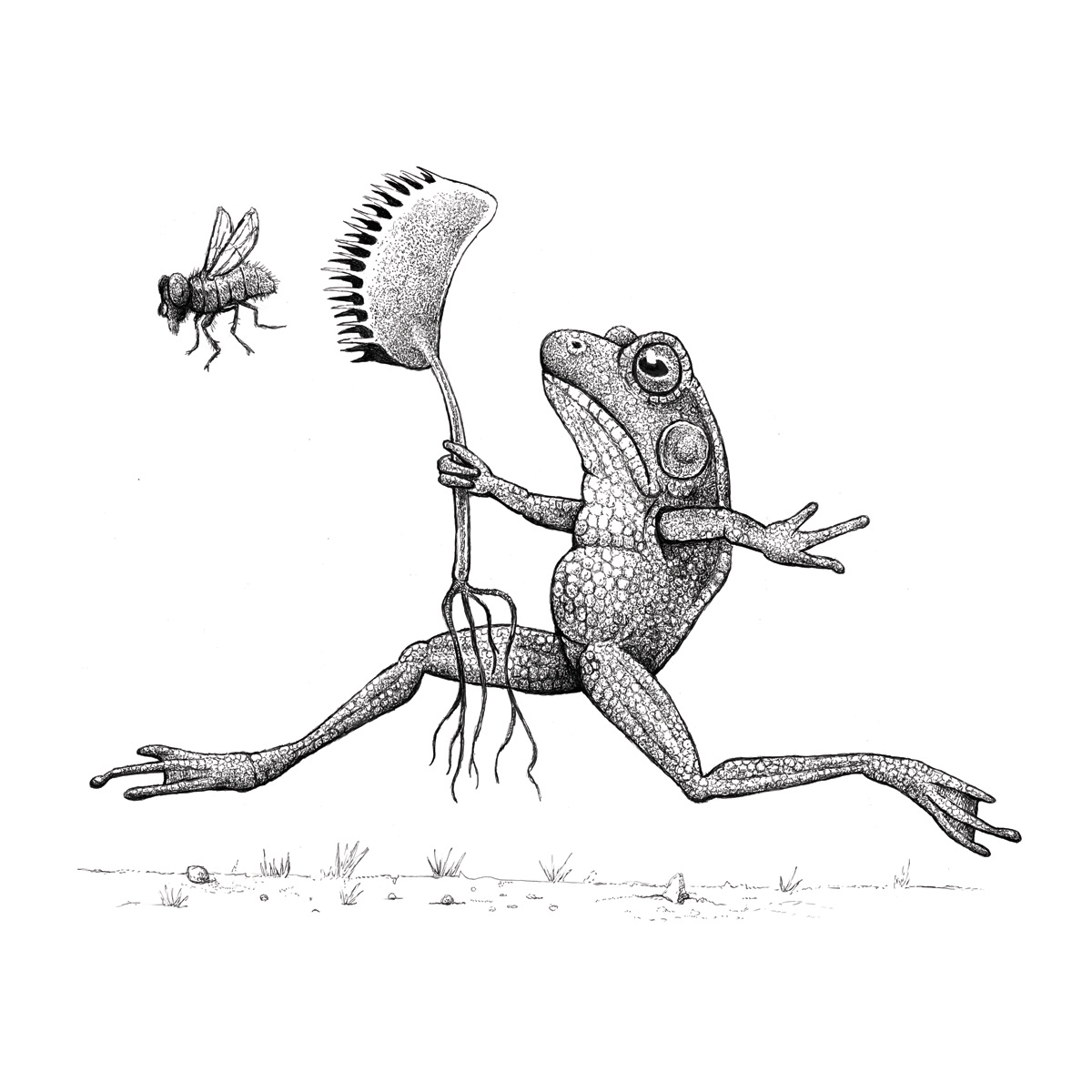 Gallery - Tim Andraka