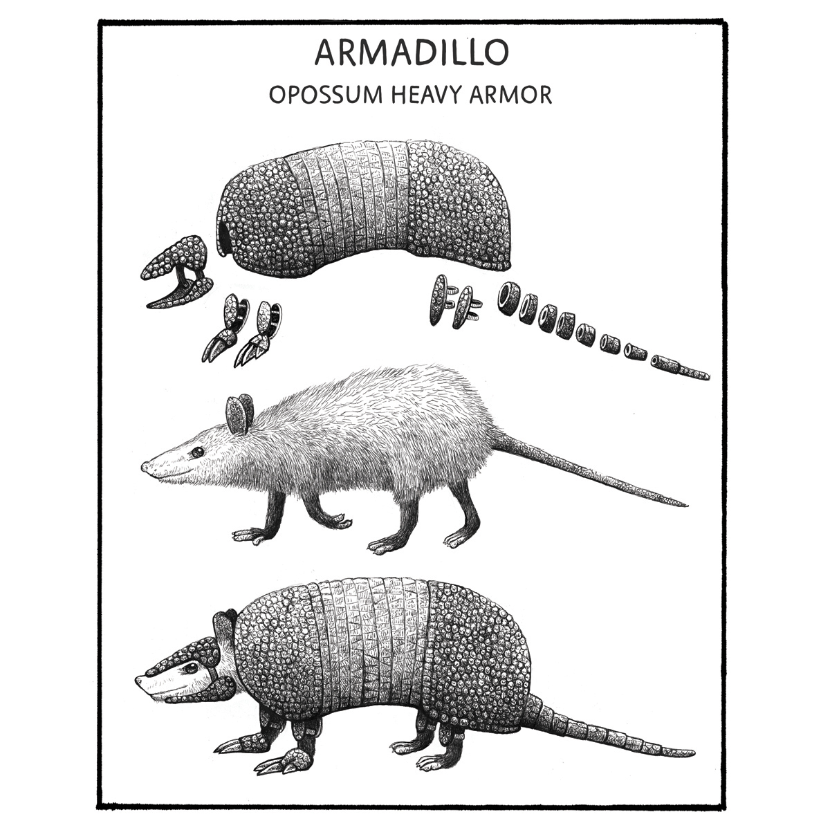 Gallery - Tim Andraka