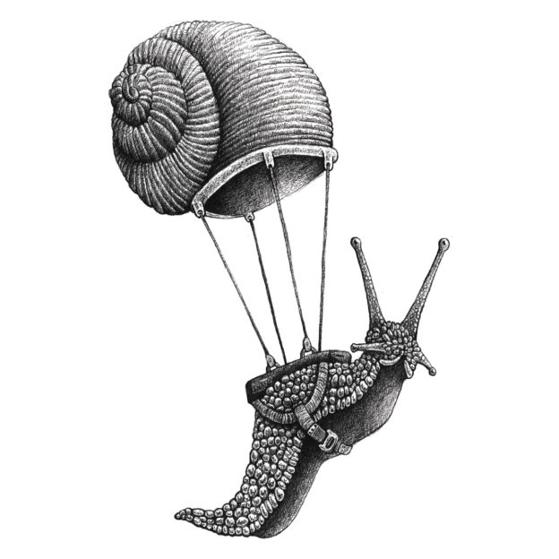 Gallery - Tim Andraka