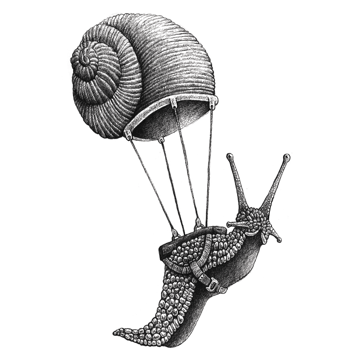 Gallery - Tim Andraka