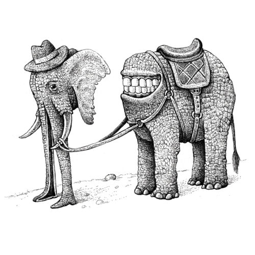 Gallery - Tim Andraka