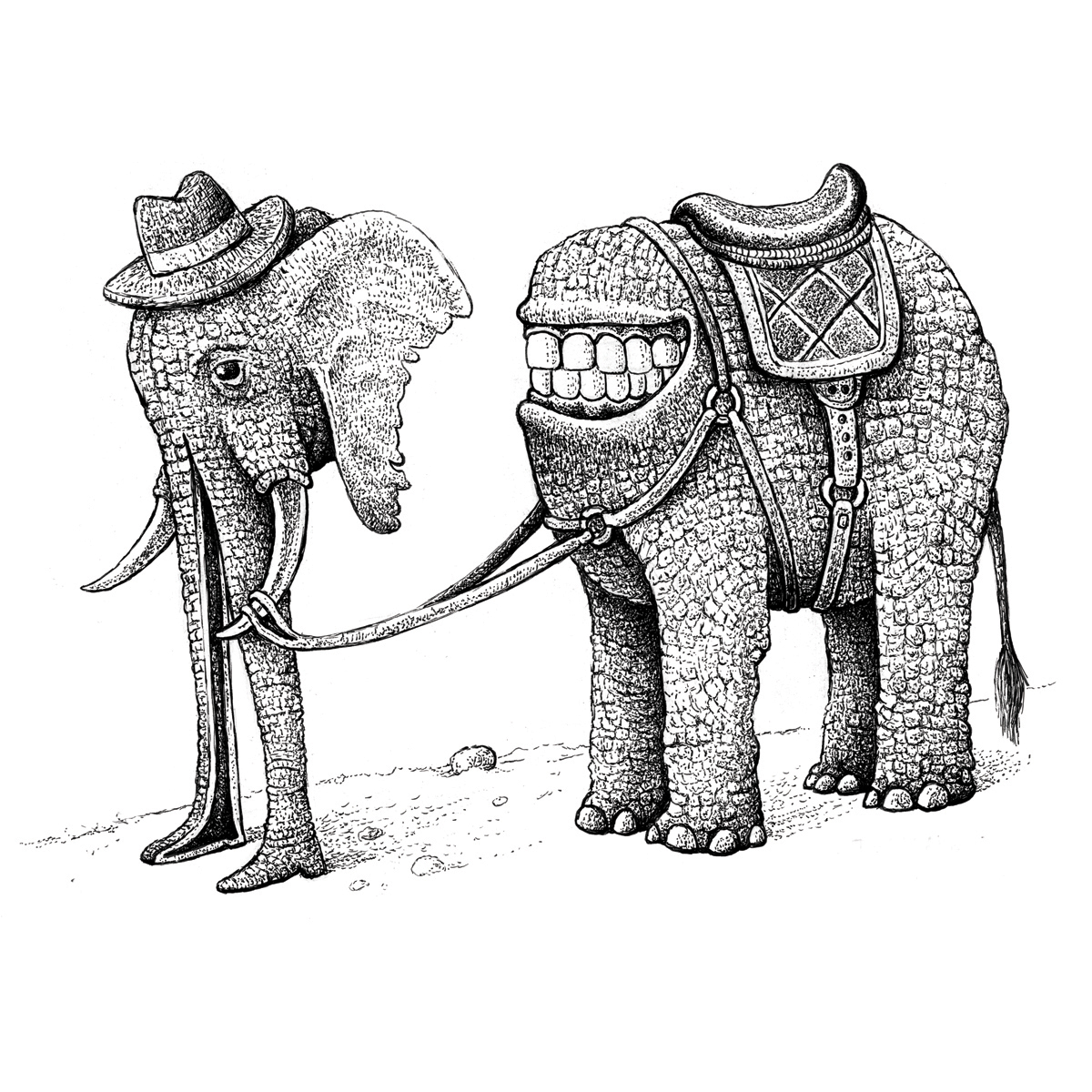 Gallery - Tim Andraka