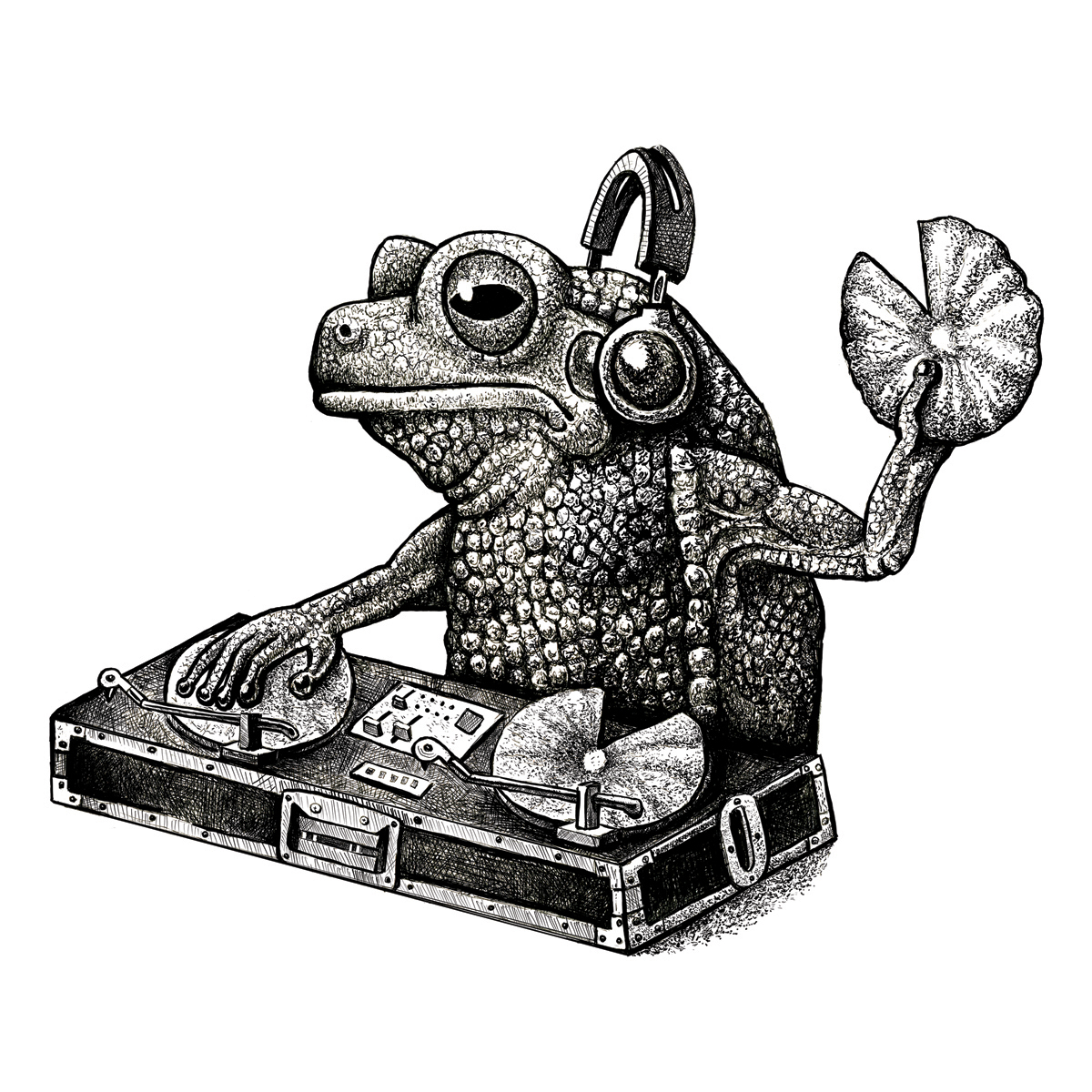 Gallery - Tim Andraka