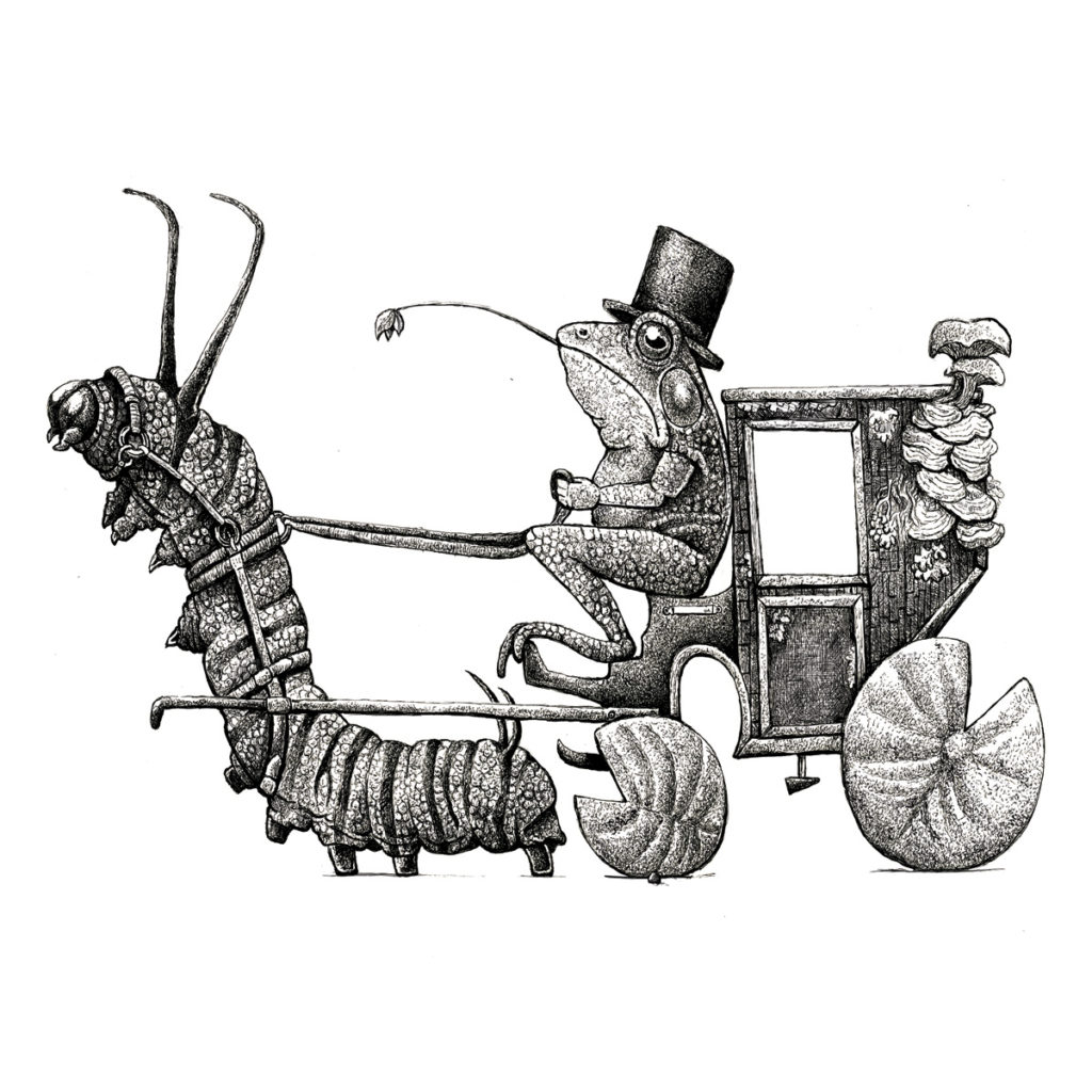 Gallery - Tim Andraka