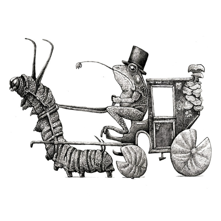 Gallery - Tim Andraka