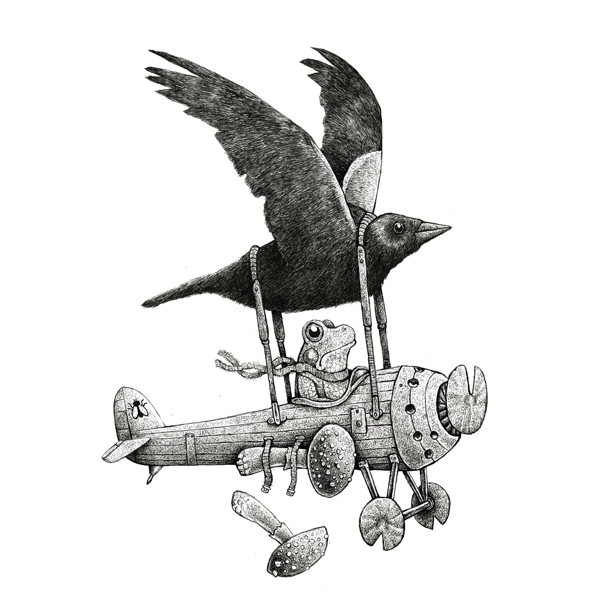 Gallery - Tim Andraka