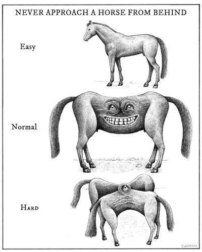 Tim Andraka - Fine Line Artist - Tim Andraka