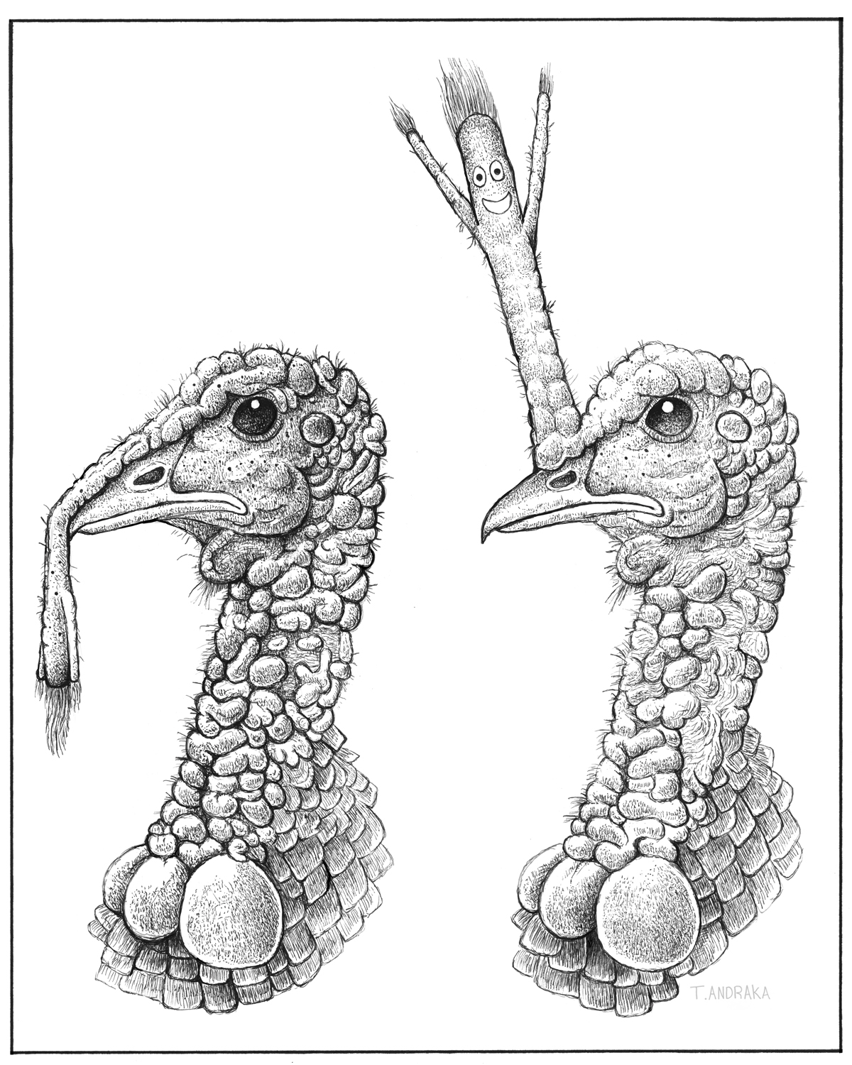 Tim Andraka - Fine Line Artist - Tim Andraka