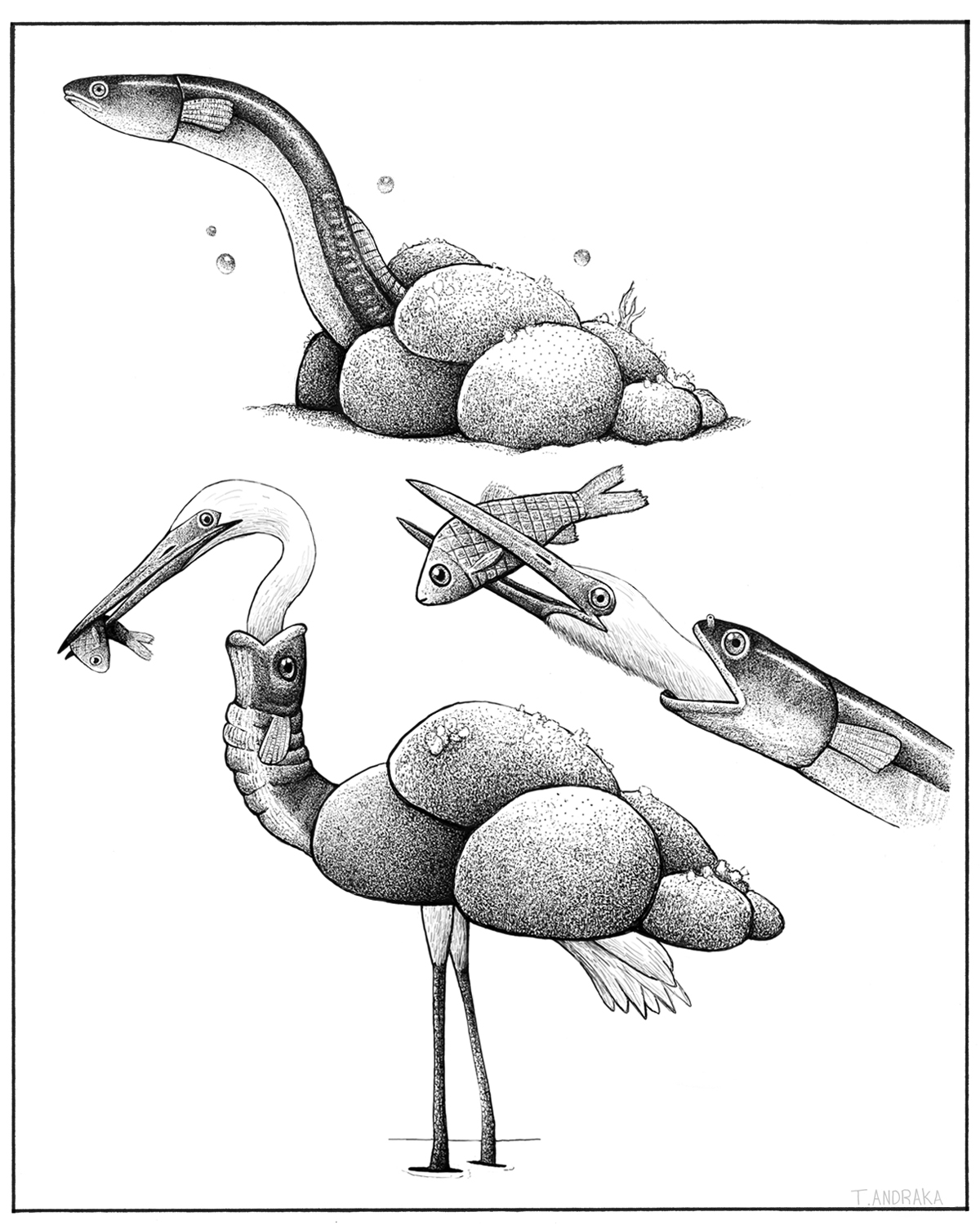 Tim Andraka - Fine Line Artist - Tim Andraka